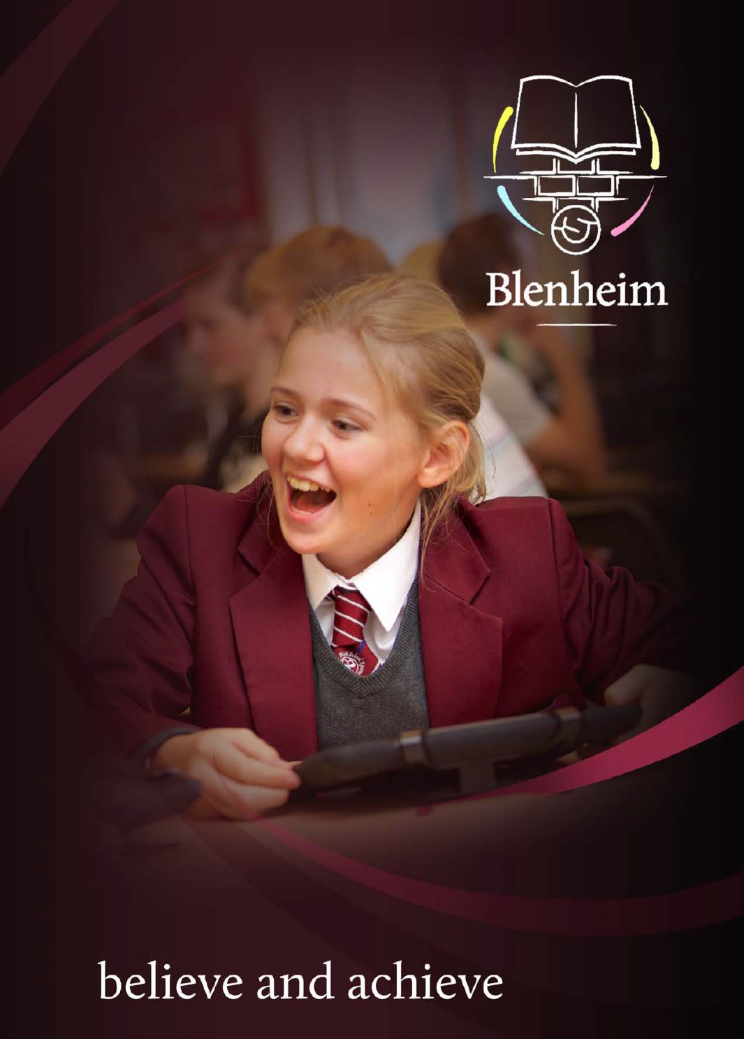 Blenheim High School Logo